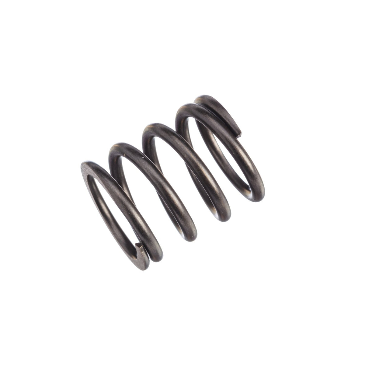 Ridgid 24462R Spring – Haus of Tools