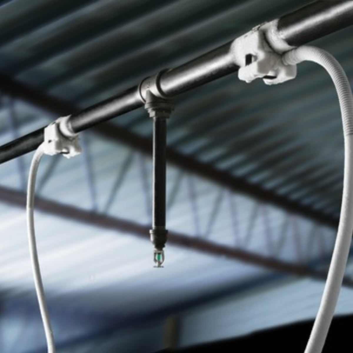 Ridgid 68832 SF-2500 Pipe Freezing Kit 240V – Haus of Tools