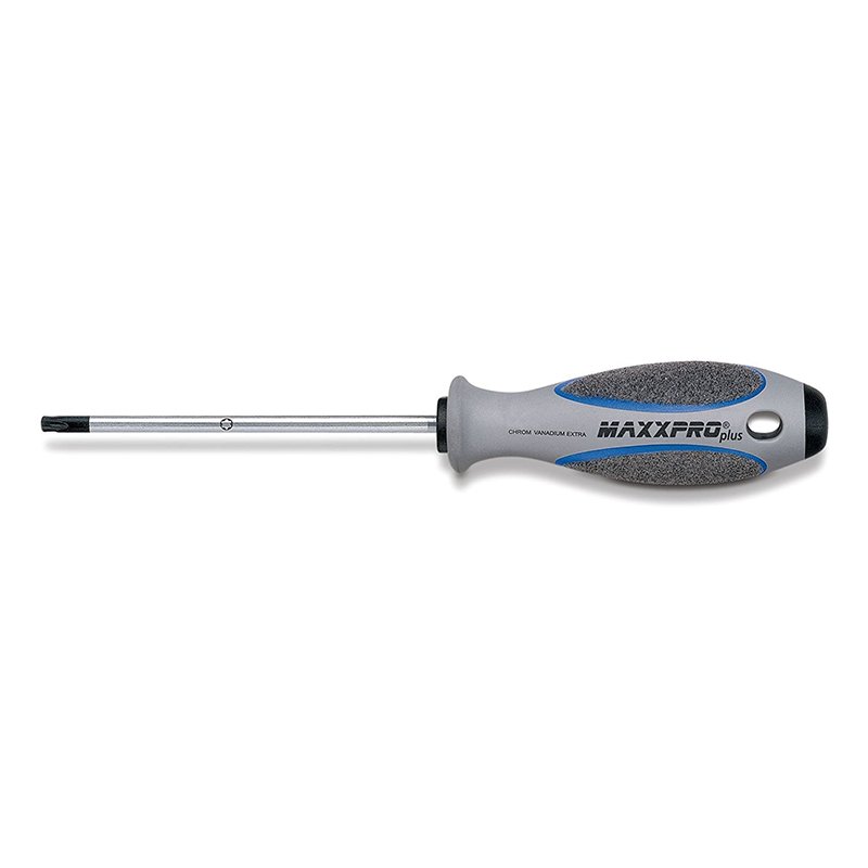 Witte 63209 T25 x 207mm Maxxpro Plus TORX® Screwdriver – Haus of Tools
